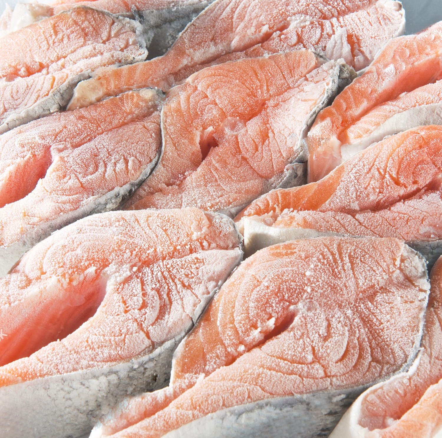 FRESH / CHILLED / FROZEN – Roma Group